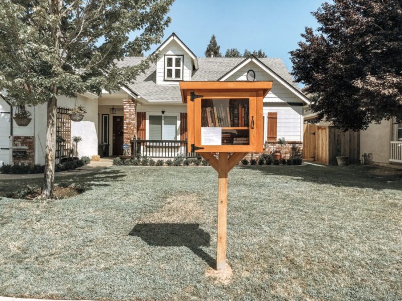 Our Very Own Free Library – Picking Daisies Blog