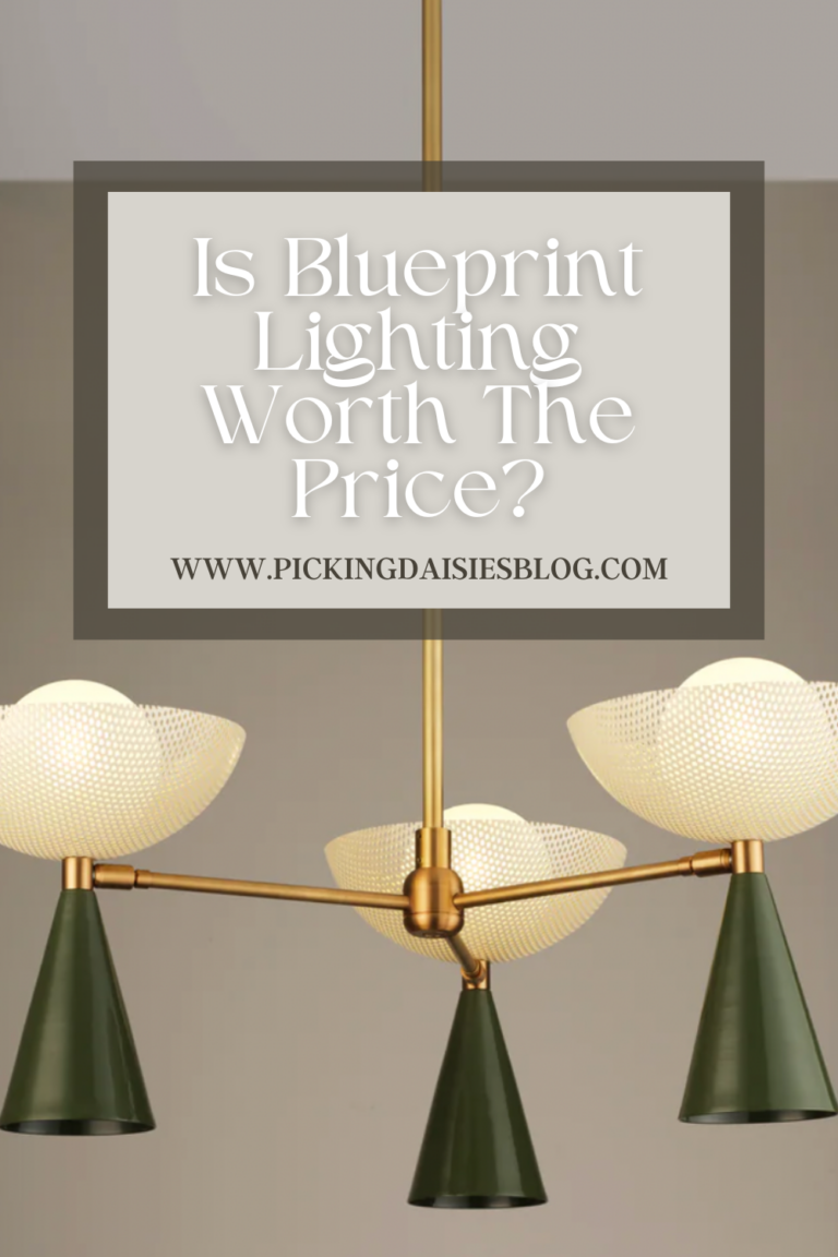 Picking Daisies Blog