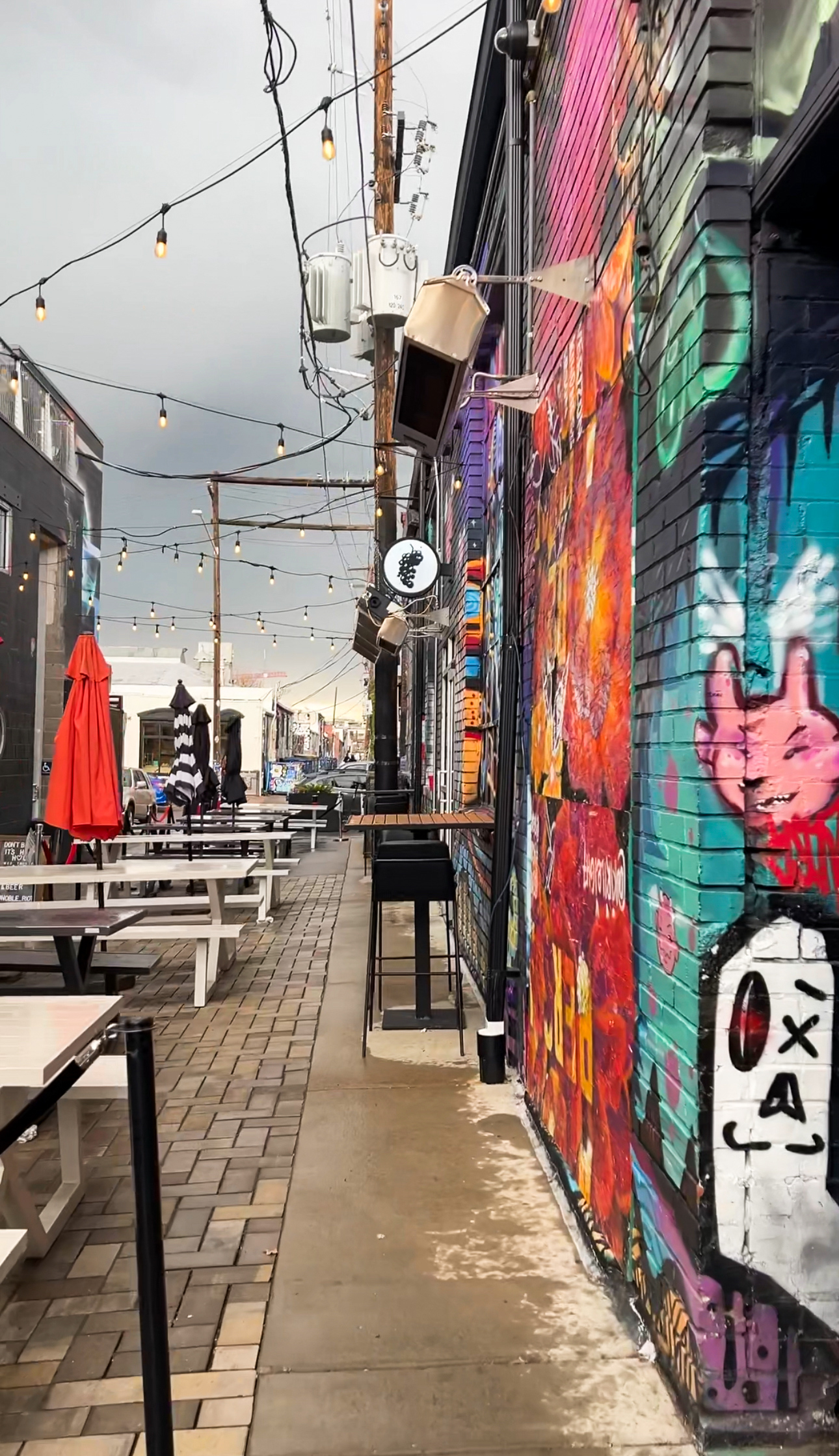 Picking Daisies Blog