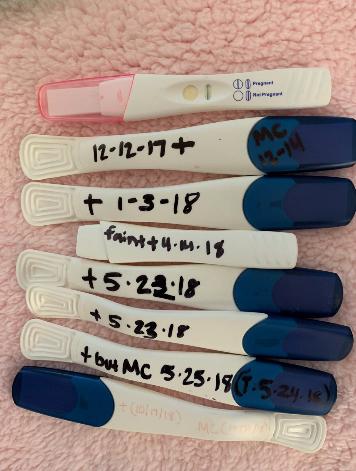 Picking Daisies Blog